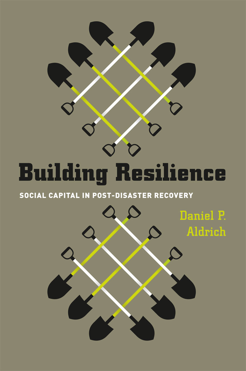 Building Resilience: Social Capital in Post-Disaster Recovery – Social ...