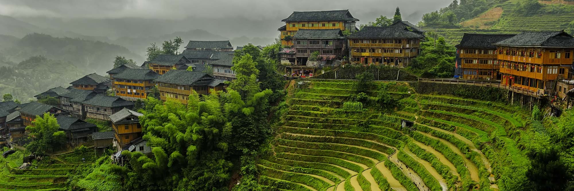 China Environment and Health Initiative (CEHI) – Social Science ...