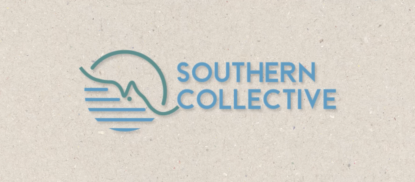 Southern Collective – Social Science Research Council (SSRC)