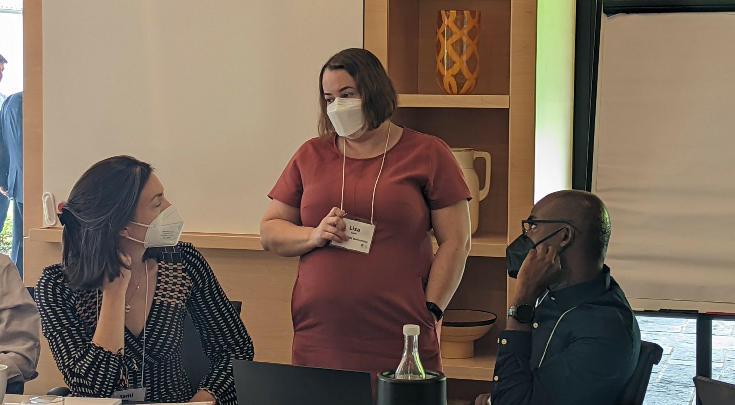 Leveraging the Mercury Project Research Framework – Social Science ...